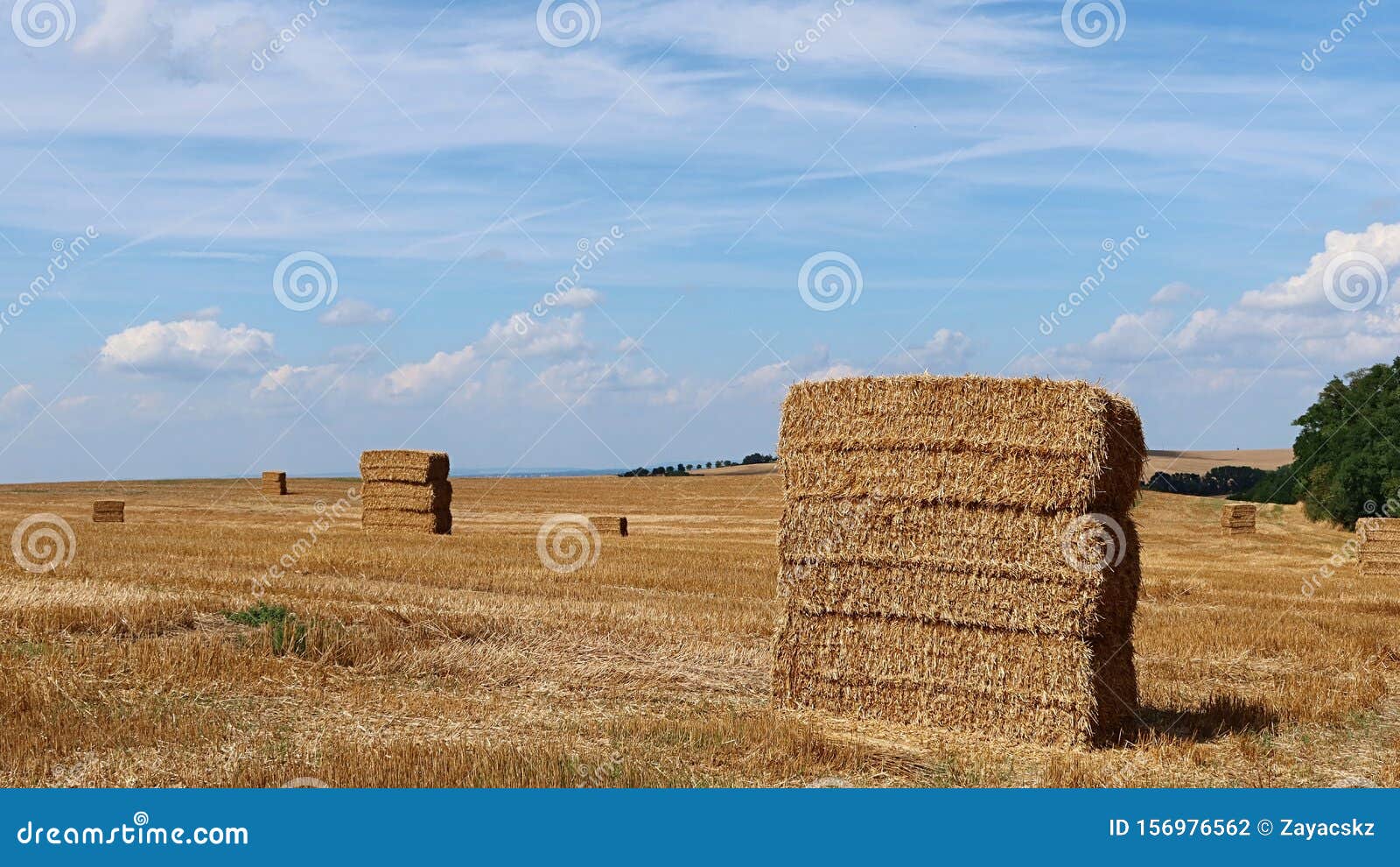 Stacked Large Rectangular Hay Bales Placed on Field after Harvest, Blue ...