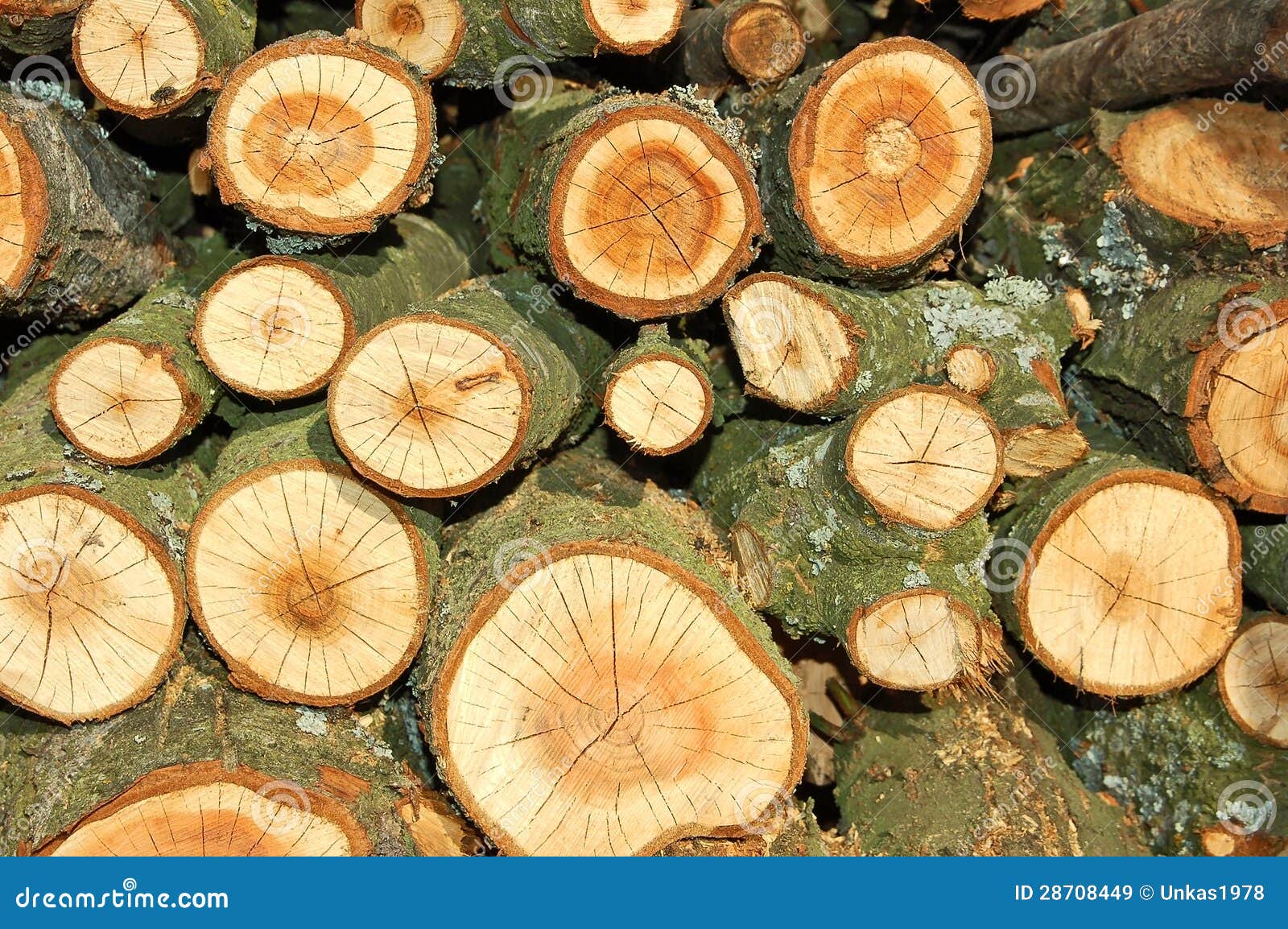 Stacked log background stock image. Image of bark, ecology - 28708449