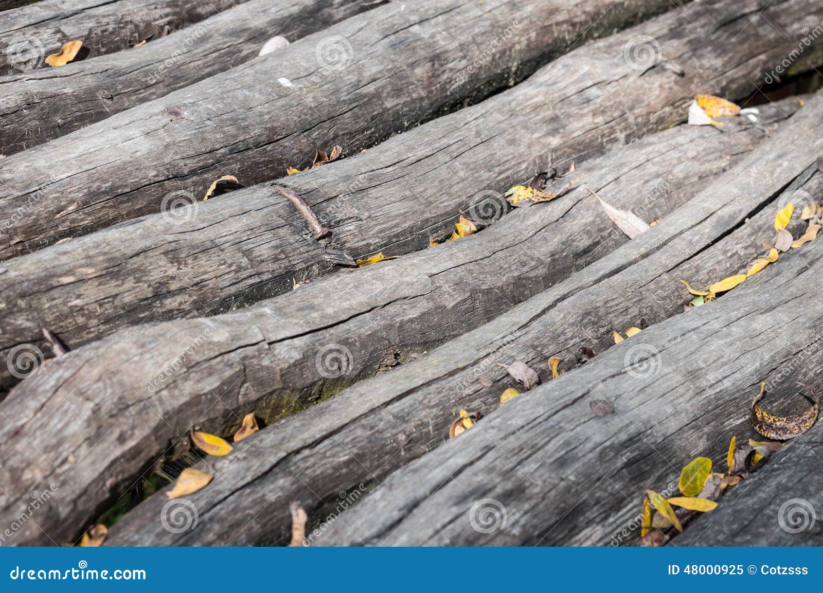 Stacked Log Cut Trees and Small Leaves Stock Image - Image of shape ...
