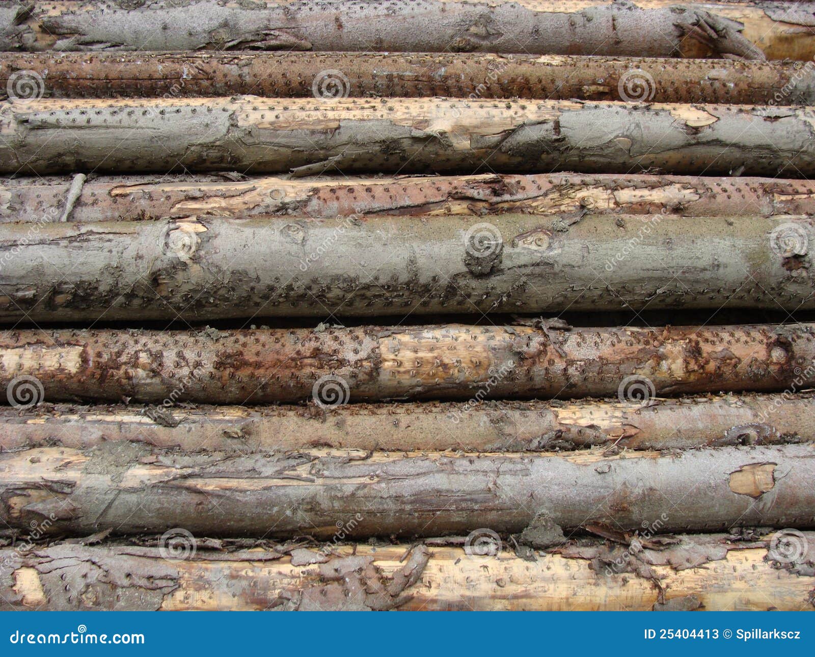 Stacked log long cut trees stock image. Image of detail - 25404413