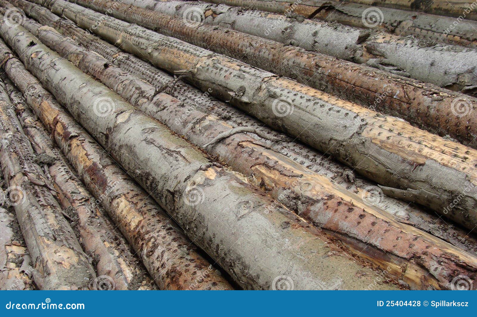 Stacked log long cut trees stock photo. Image of food - 25404428