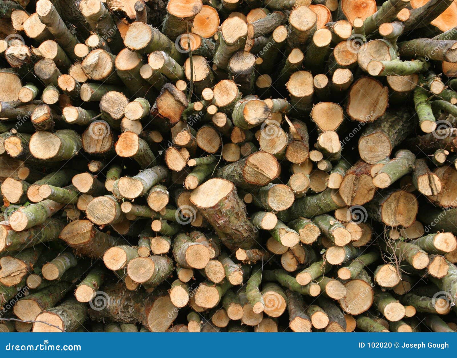 Stacked Logs stock photo. Image of industrial, pattern - 102020
