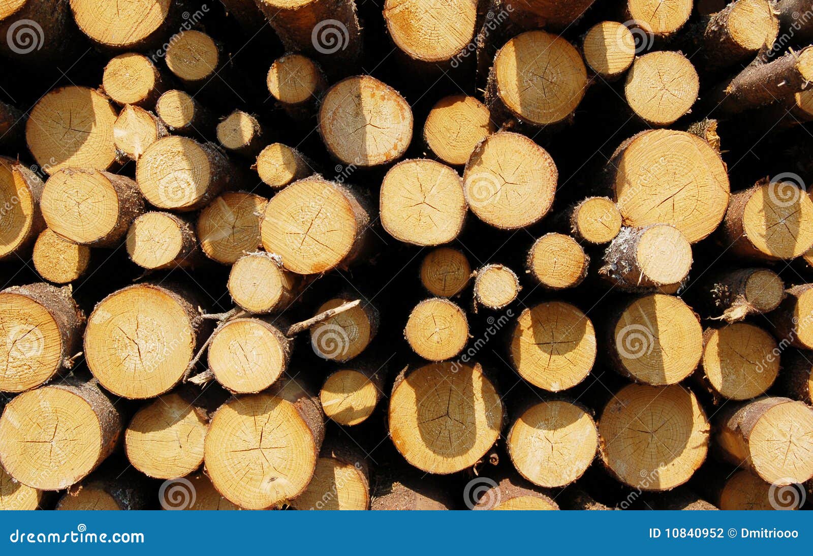 Stacked Logs stock photo. Image of cross, frame, damage - 10840952