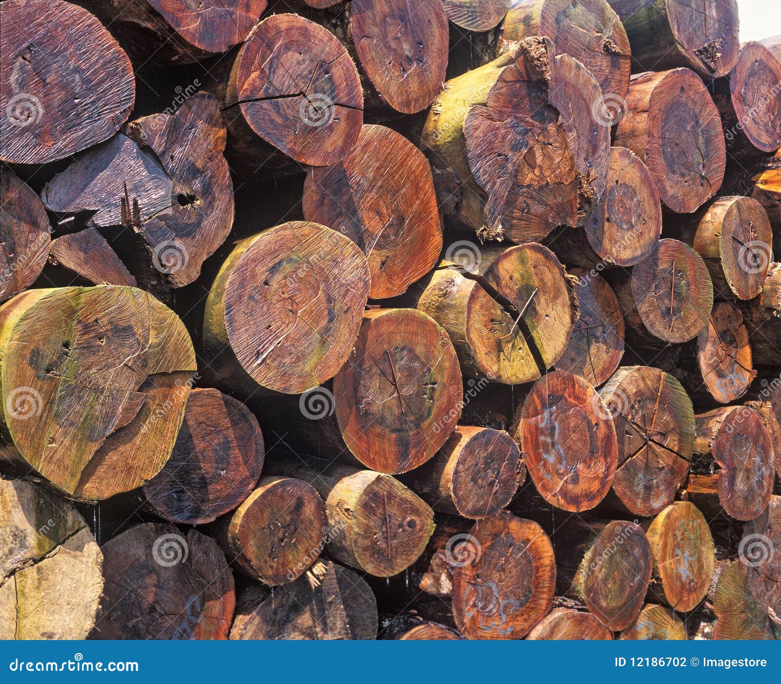 Stacked logs stock photo. Image of fuel, background, material - 12186702