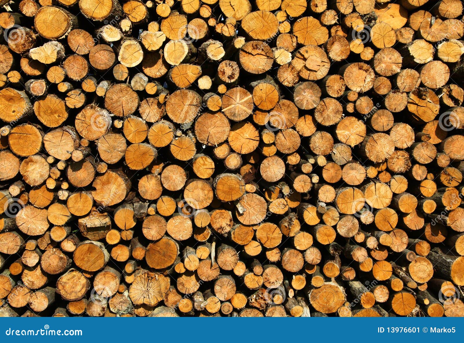 Stacked Logs stock image. Image of rough, lumber, construction - 13976601