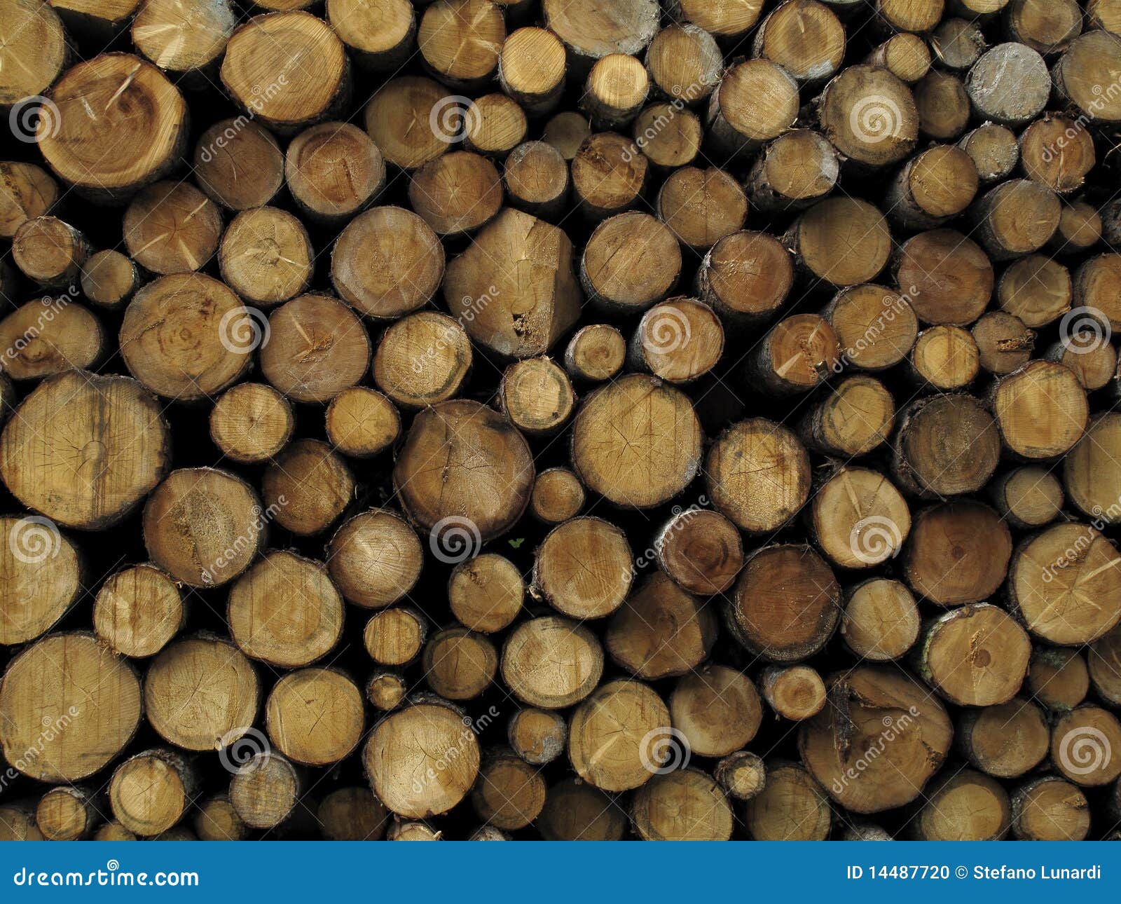 Stacked Logs stock photo. Image of ring, forest, firewood - 14487720