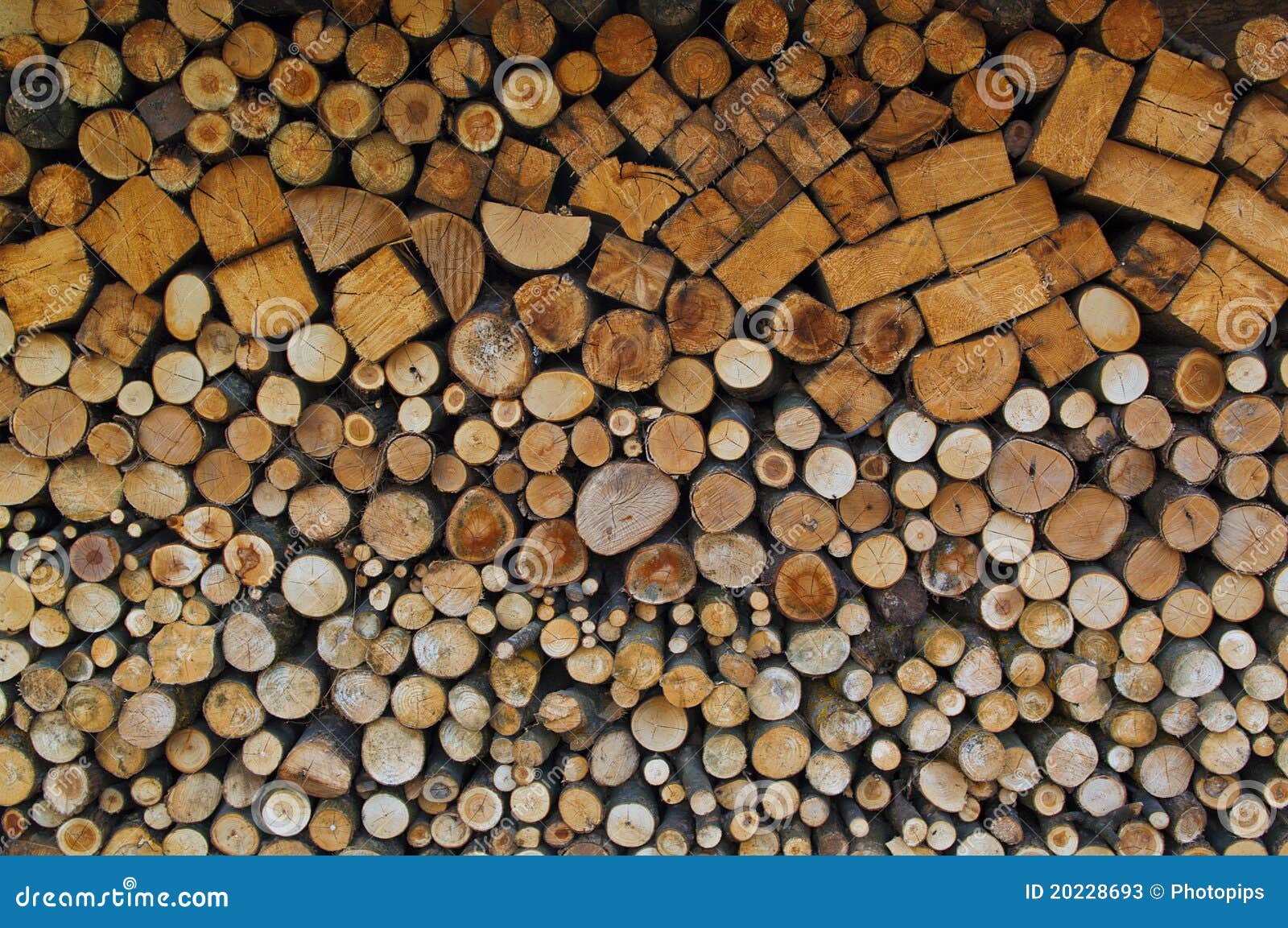 Stacked logs stock image. Image of logs, wood, trunks - 20228693