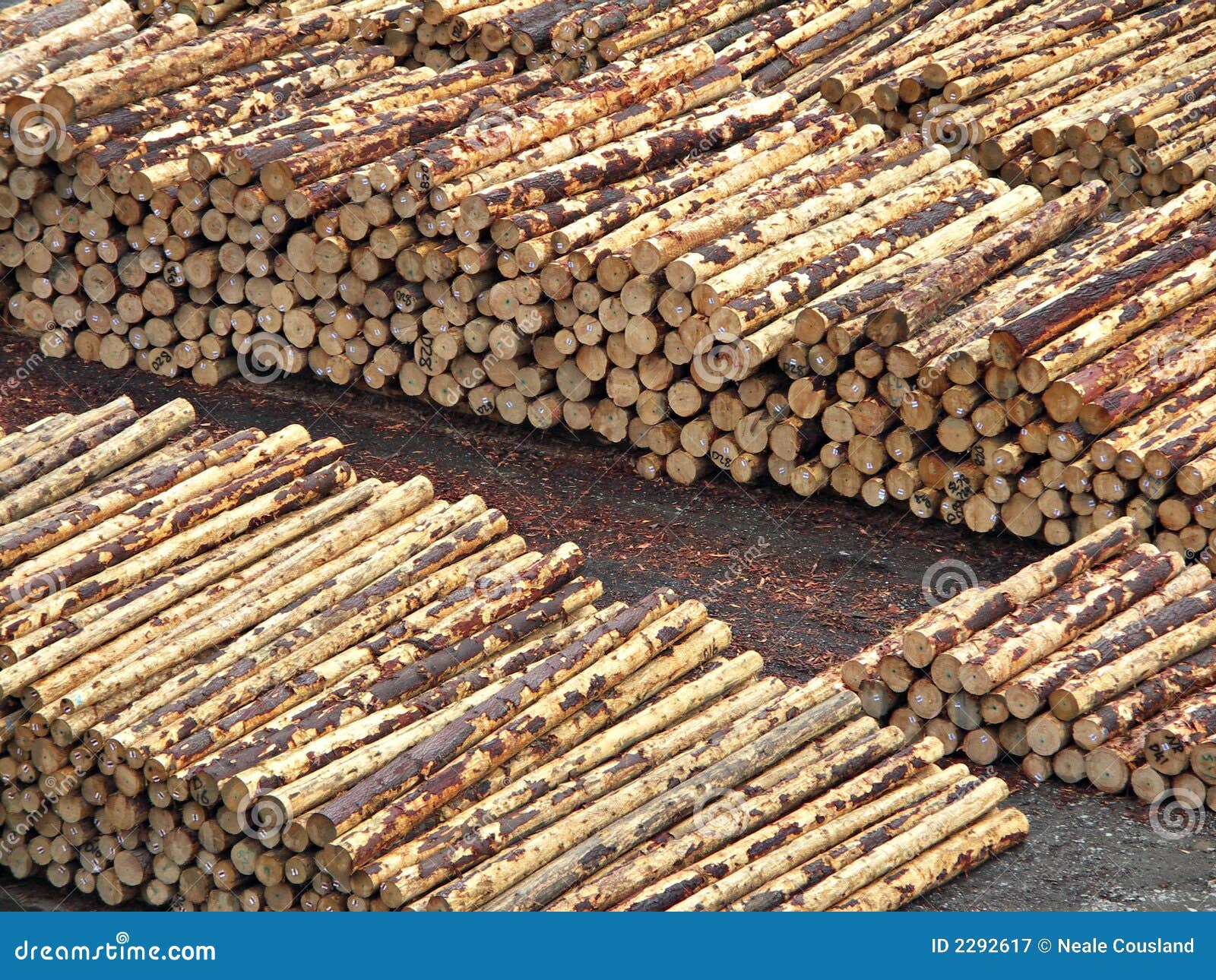Stacked Logs stock image. Image of logging, pattern, pile - 2292617
