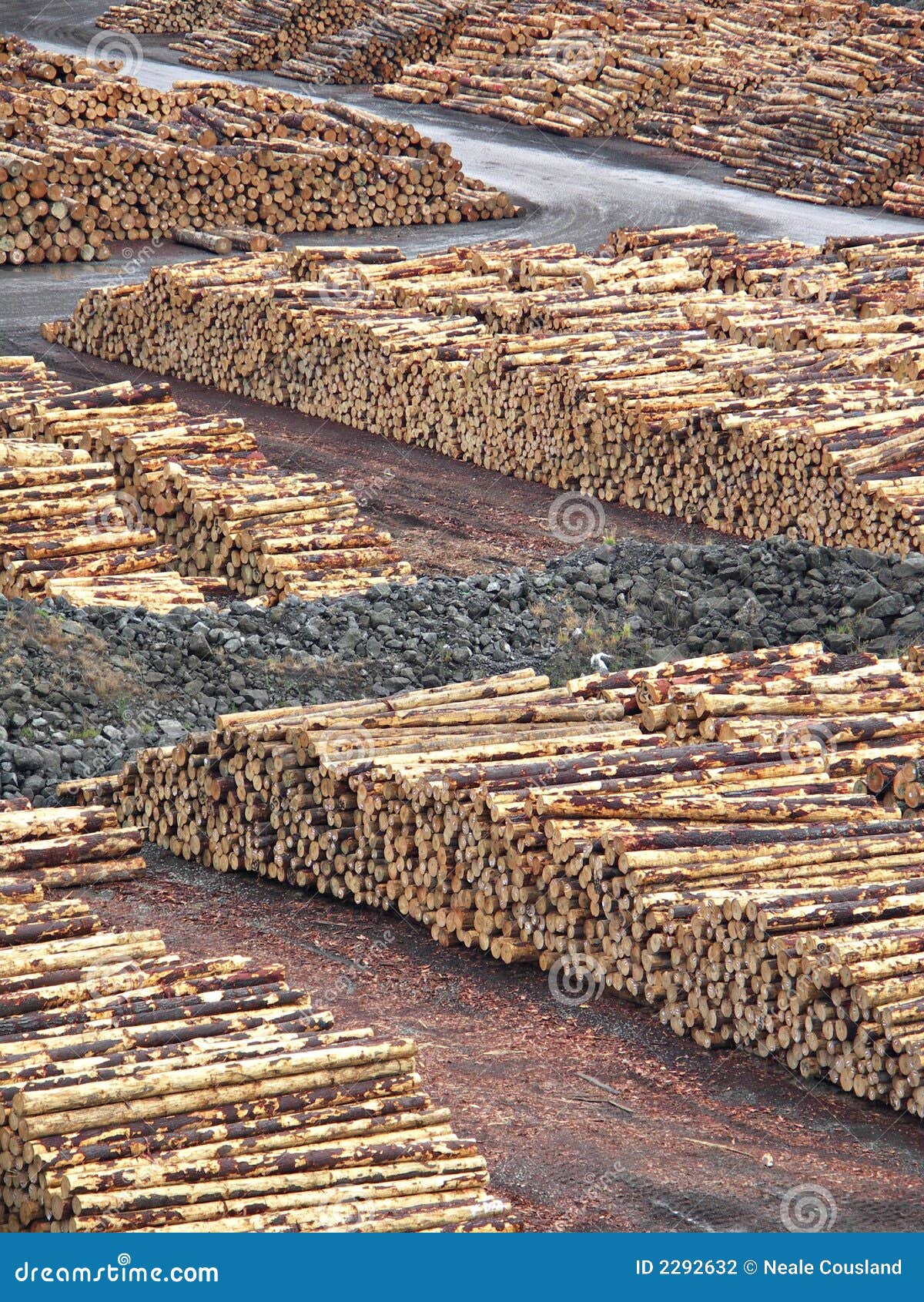 Stacked Logs stock photo. Image of mill, growth, firewood - 2292632