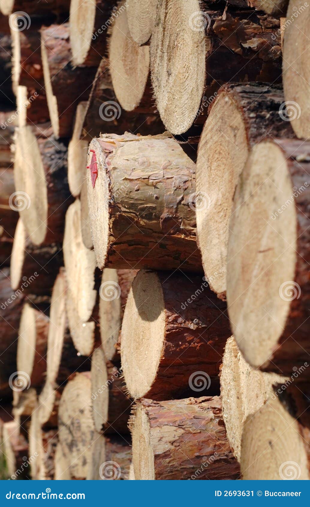 Stacked logs stock image. Image of black, yellow, logs - 2693631