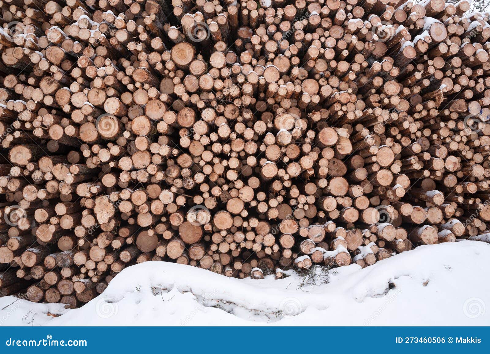 Pile of Logged Tree Trunks. Sawn Trees from the Forest Stock Photo ...