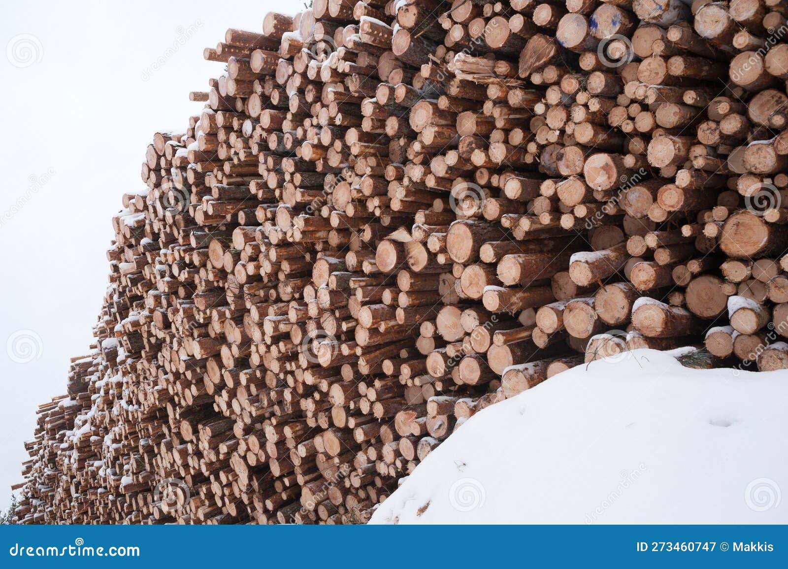 Pile of Logged Tree Trunks. Sawn Trees from the Forest Stock Image ...