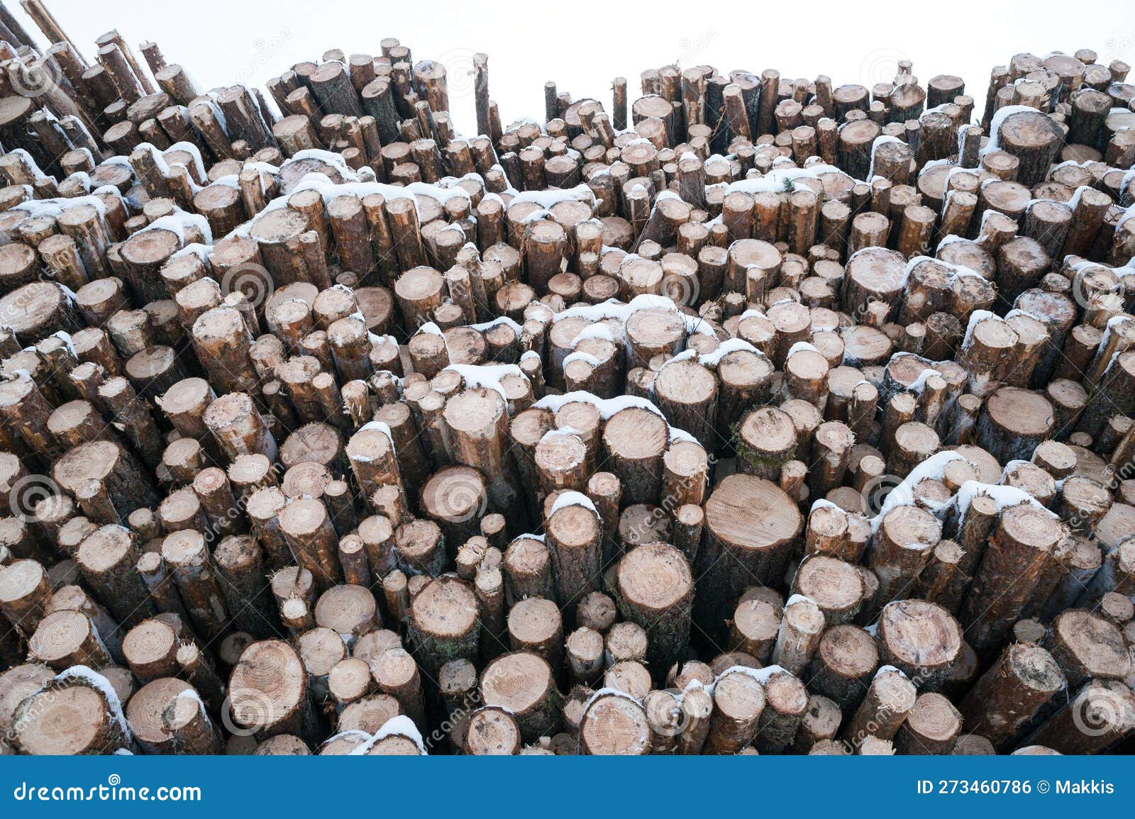 Pile of Logged Tree Trunks. Sawn Trees from the Forest Stock Photo ...