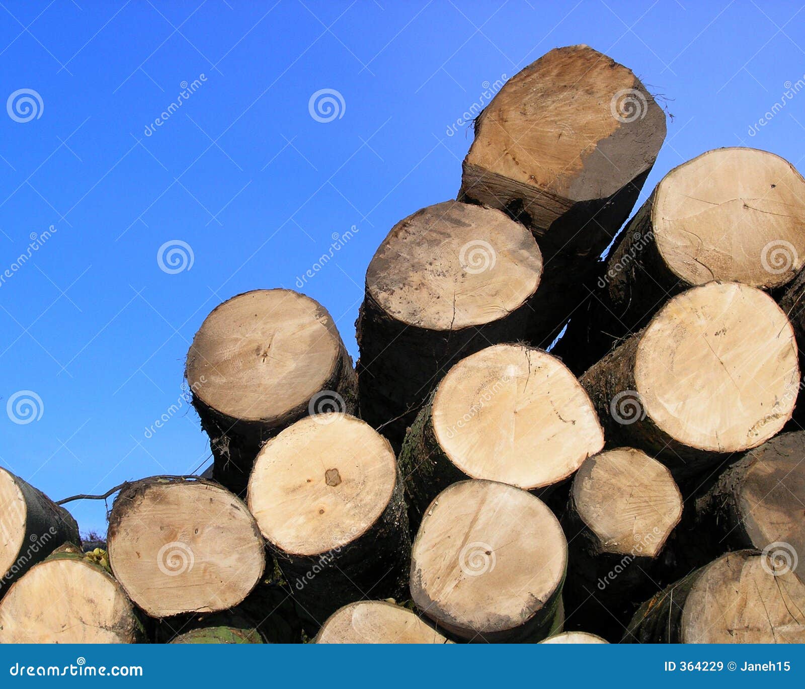 Stacked logs stock image. Image of logs, pattern, stack - 364229