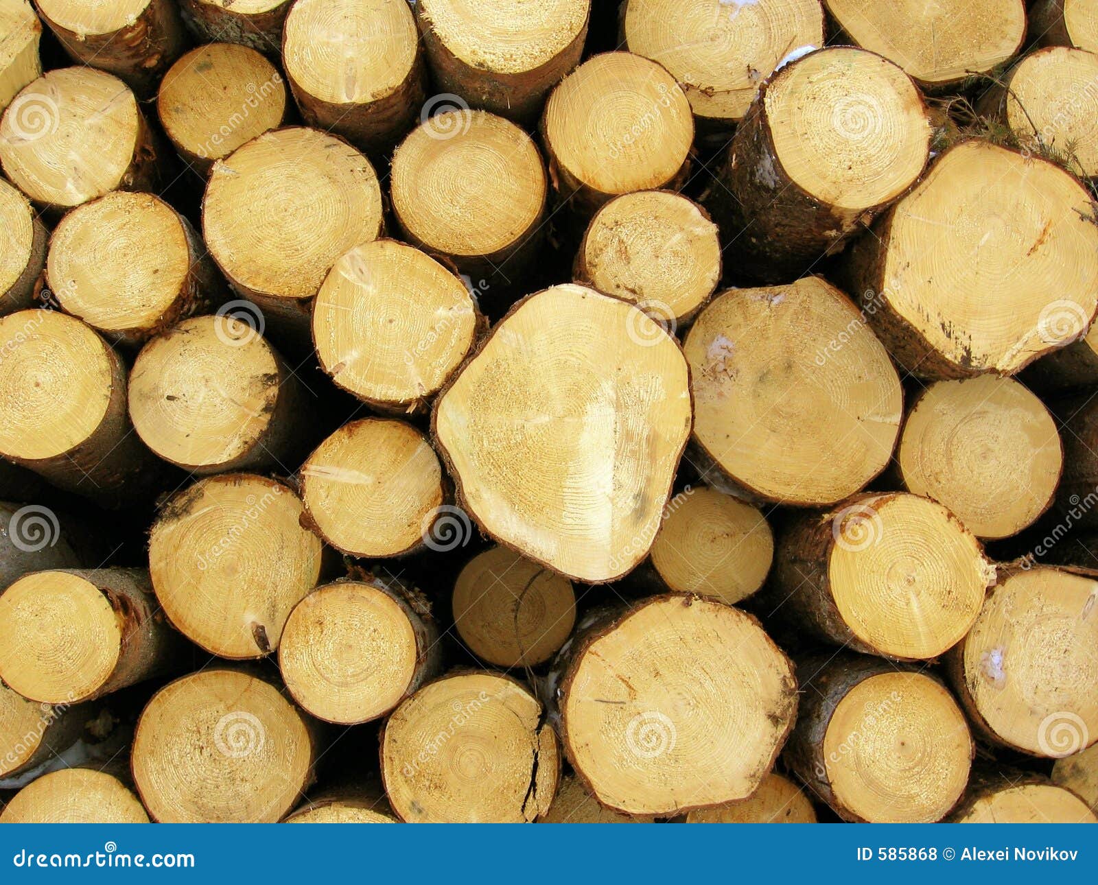 Stacked logs stock photo. Image of timber, tree, trunks - 585868