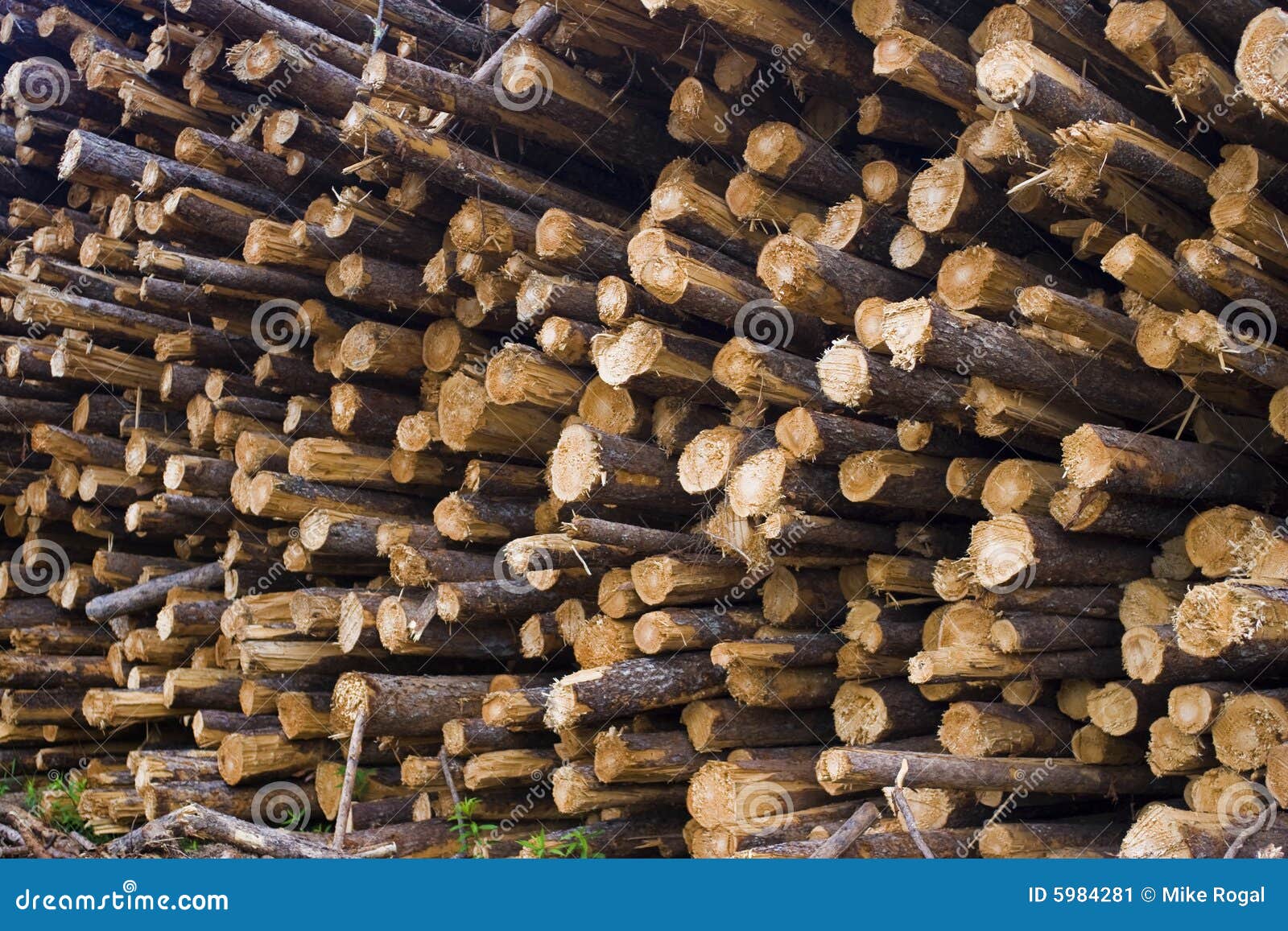 Stacked logs stock image. Image of construction, lots - 5984281