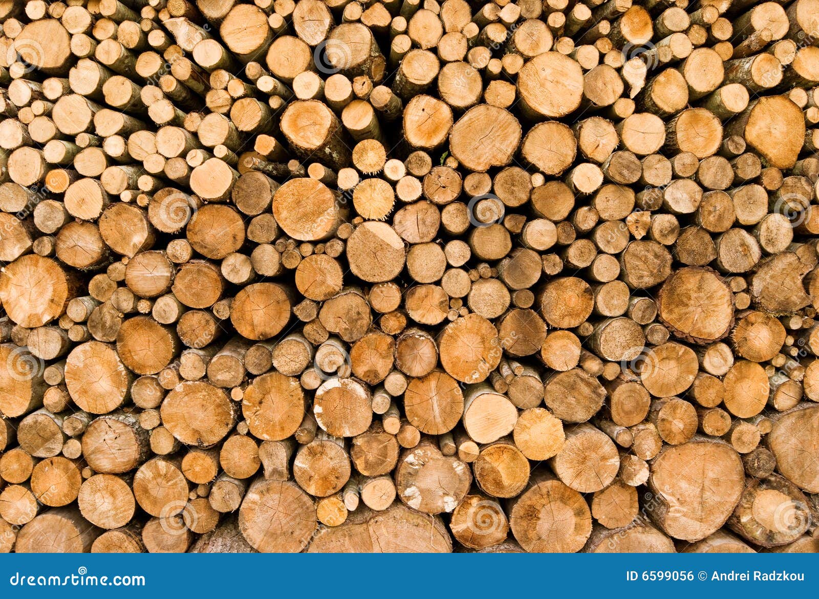 Stacked logs stock photo. Image of timber, industry, cutting - 6599056