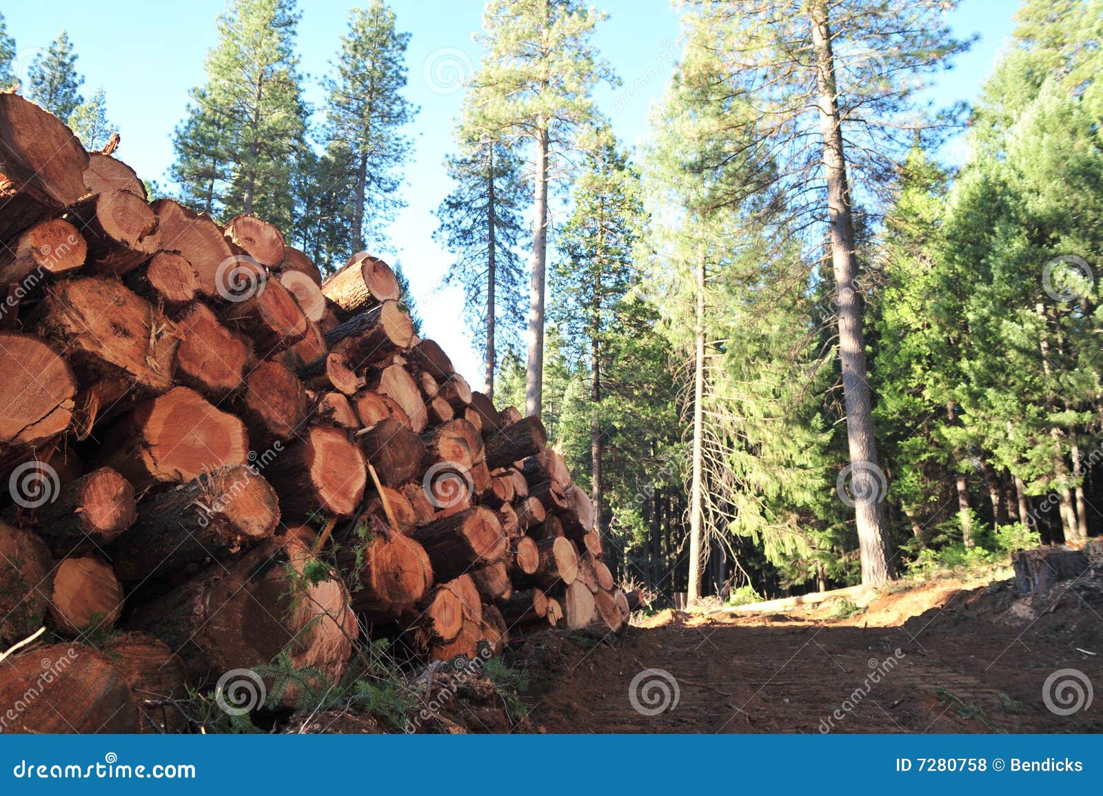 Stacked Logs stock photo. Image of outside, stack, tree - 7280758