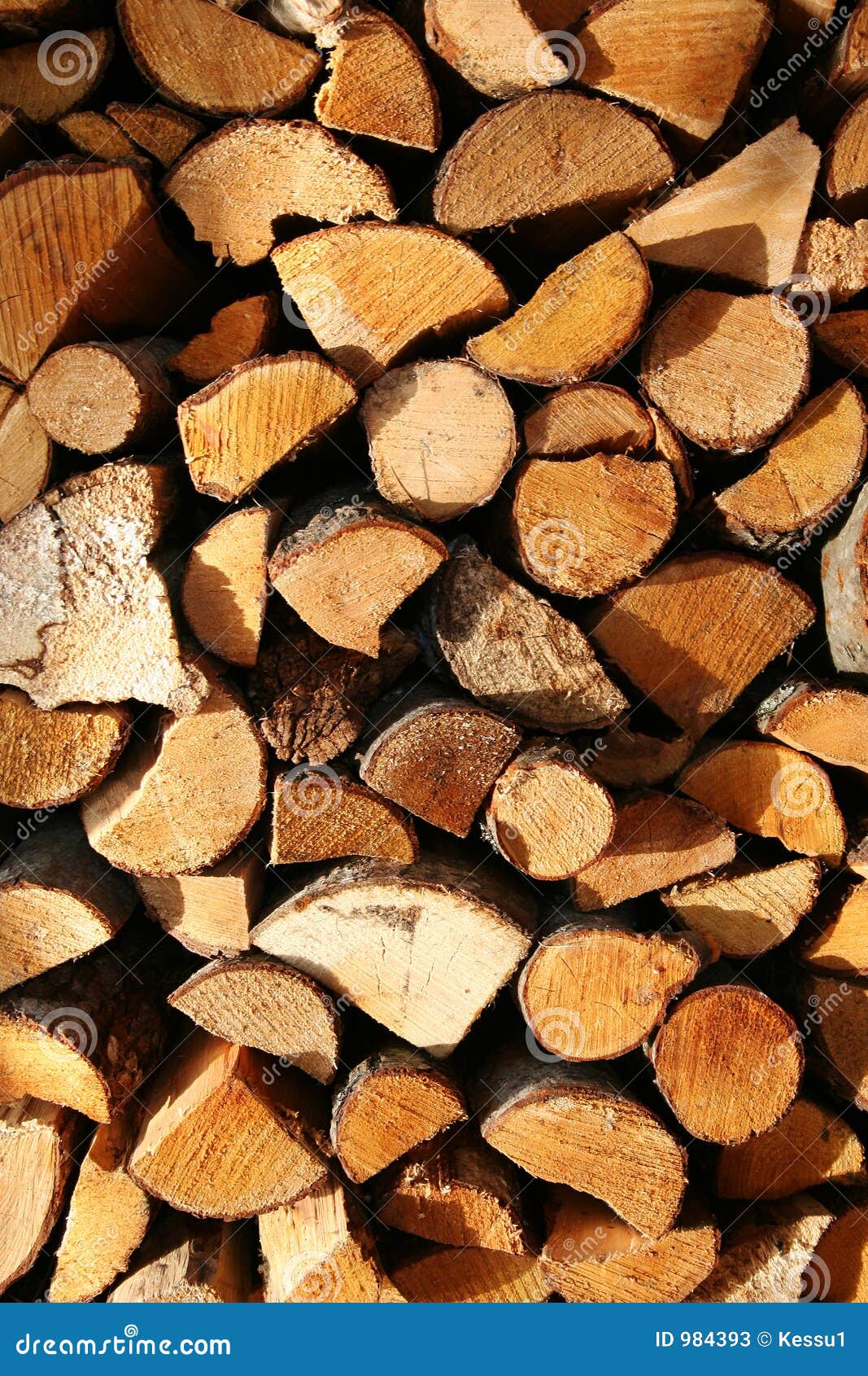 Stacked logs stock image. Image of industrial, wood, fall - 984393