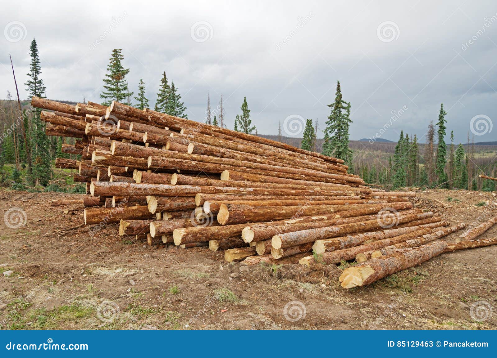 Stacked Logs Wall, Concrete Texture Royalty-Free Stock Photography ...