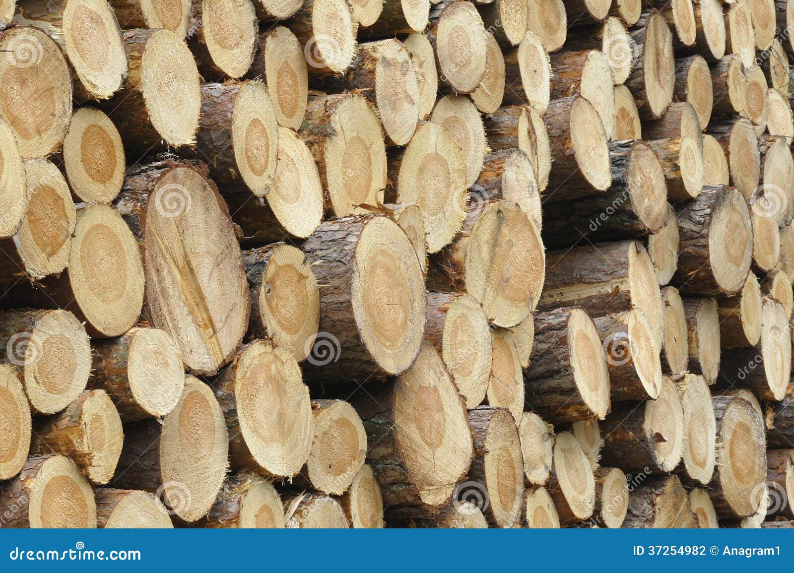 Stacked Logs stock photo. Image of energy, full, front - 37254982