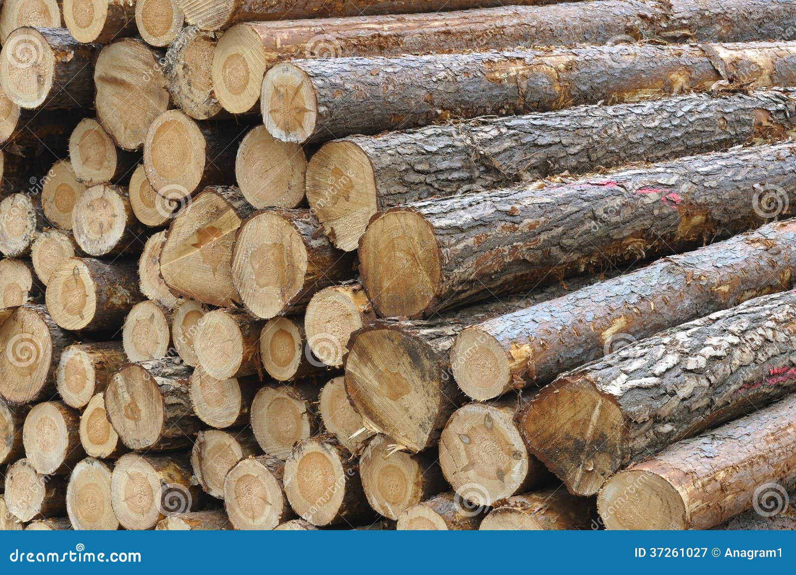 Stacked Logs stock image. Image of natural, logs, full - 37261027