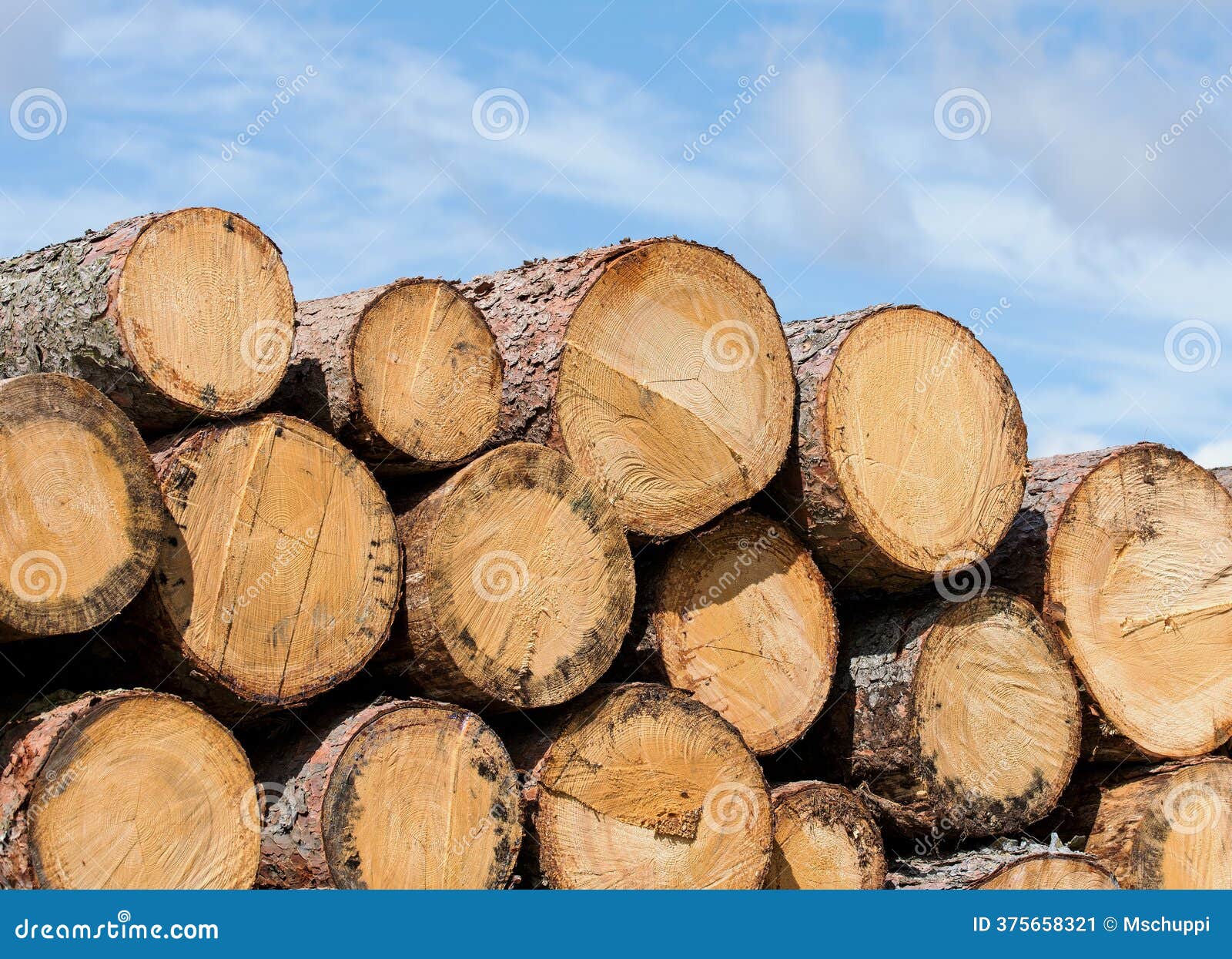Stacked Logs Wood Texture For Background. Stock Photo | CartoonDealer ...