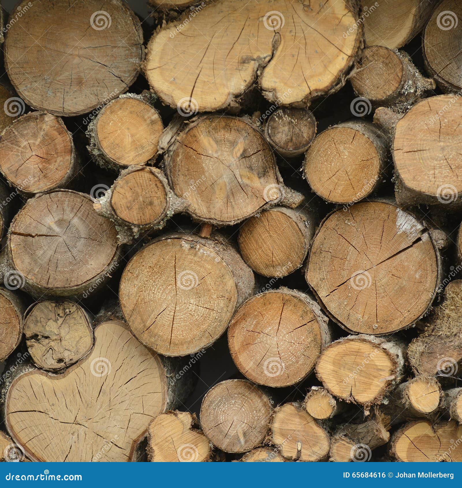Stacked Logs stock photo. Image of background, textured - 65684616