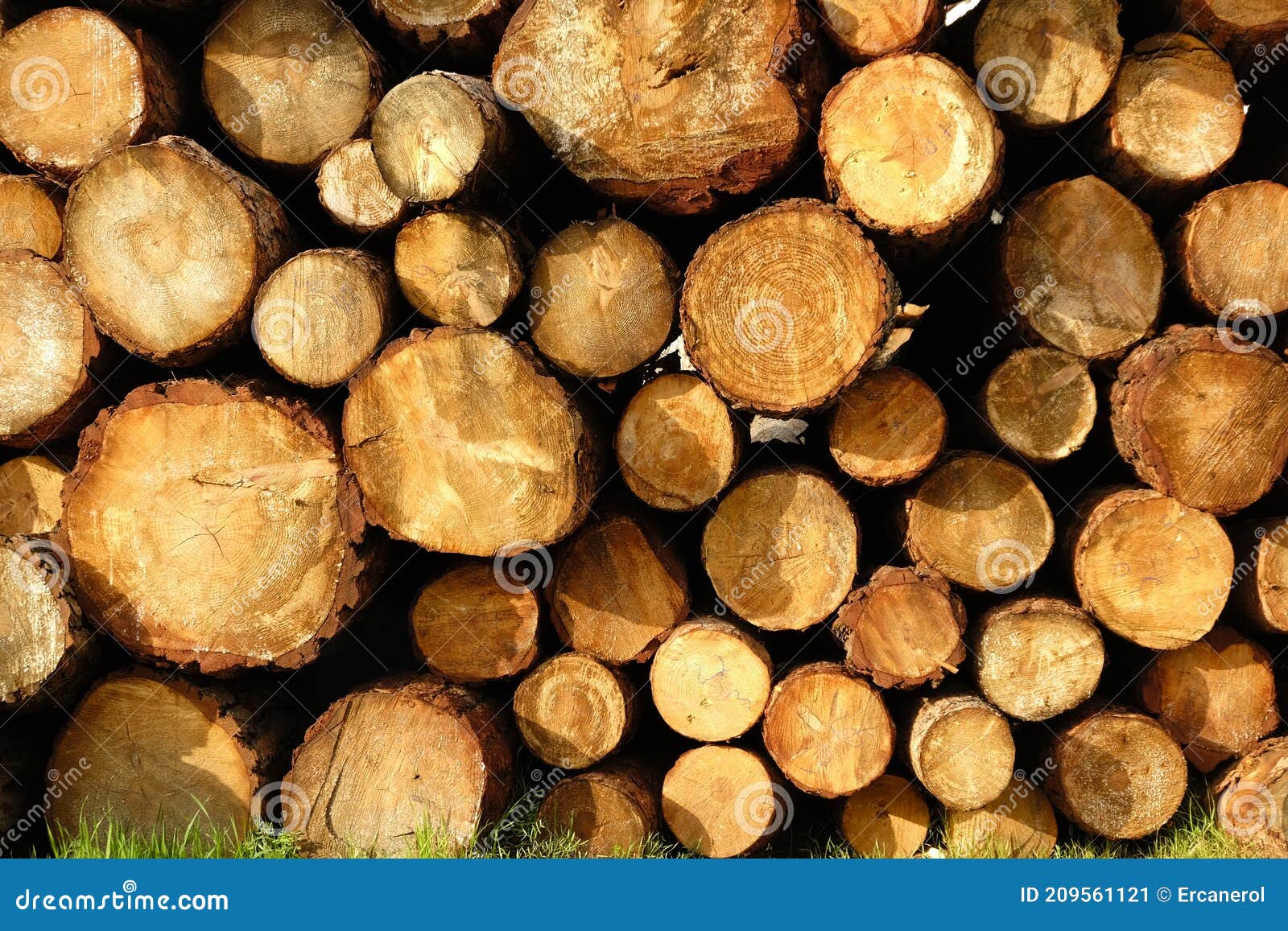Stacked Logs Texture, Natural Background. Can Use As Wallpaper Royalty ...