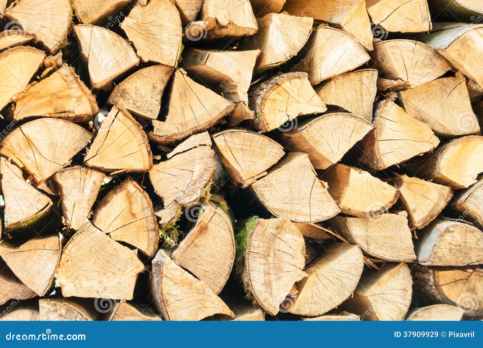 Stacked logs stock image. Image of trunk, brown, stack - 37909929