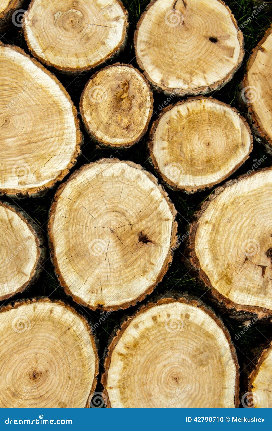 Stacked Logs, Natural Background Stock Photo - Image of bumpy, objects ...