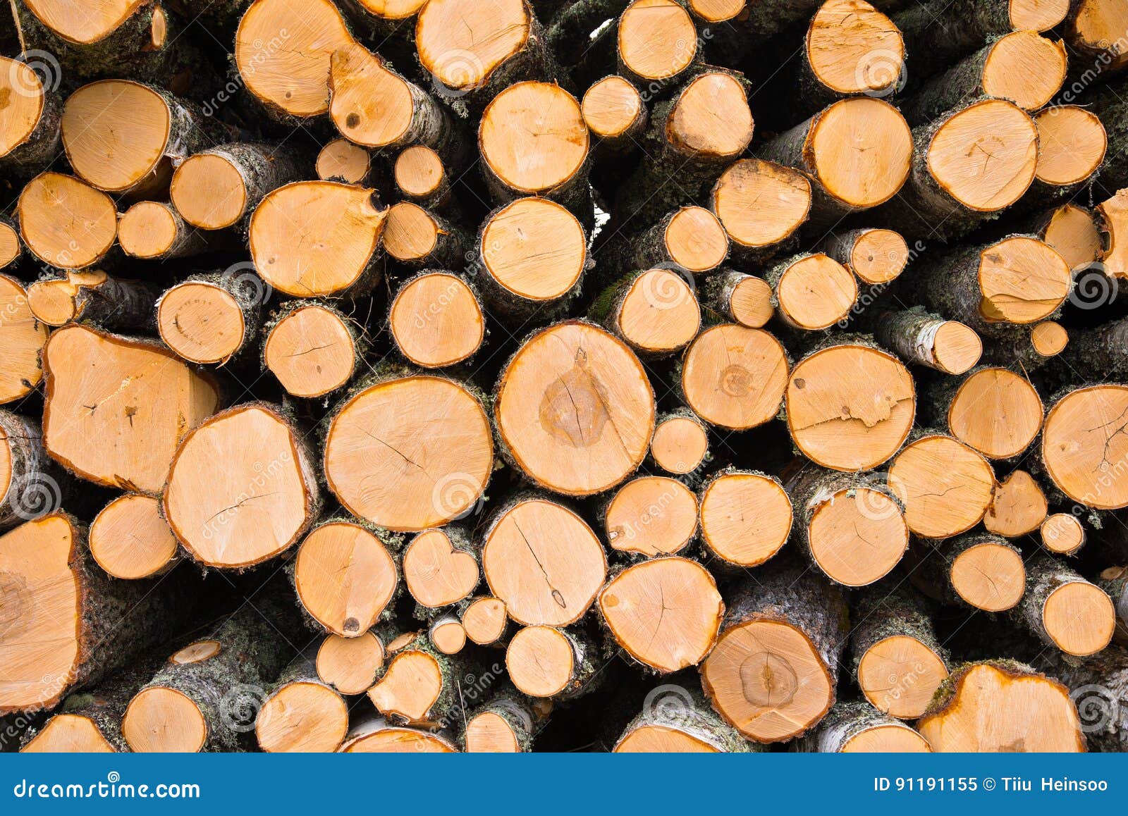 Stacked logs stock image. Image of environment, fell - 91191155