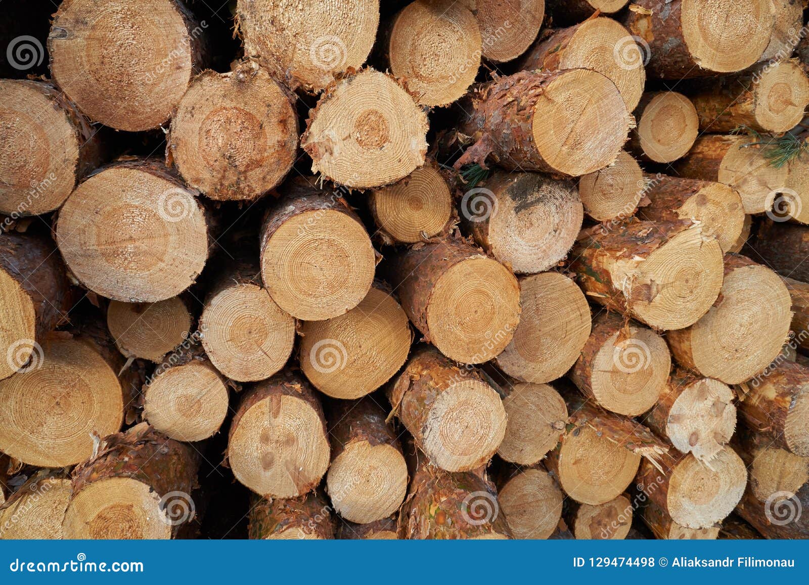 Stacked logs. stock photo. Image of wooden, forest, background - 129474498