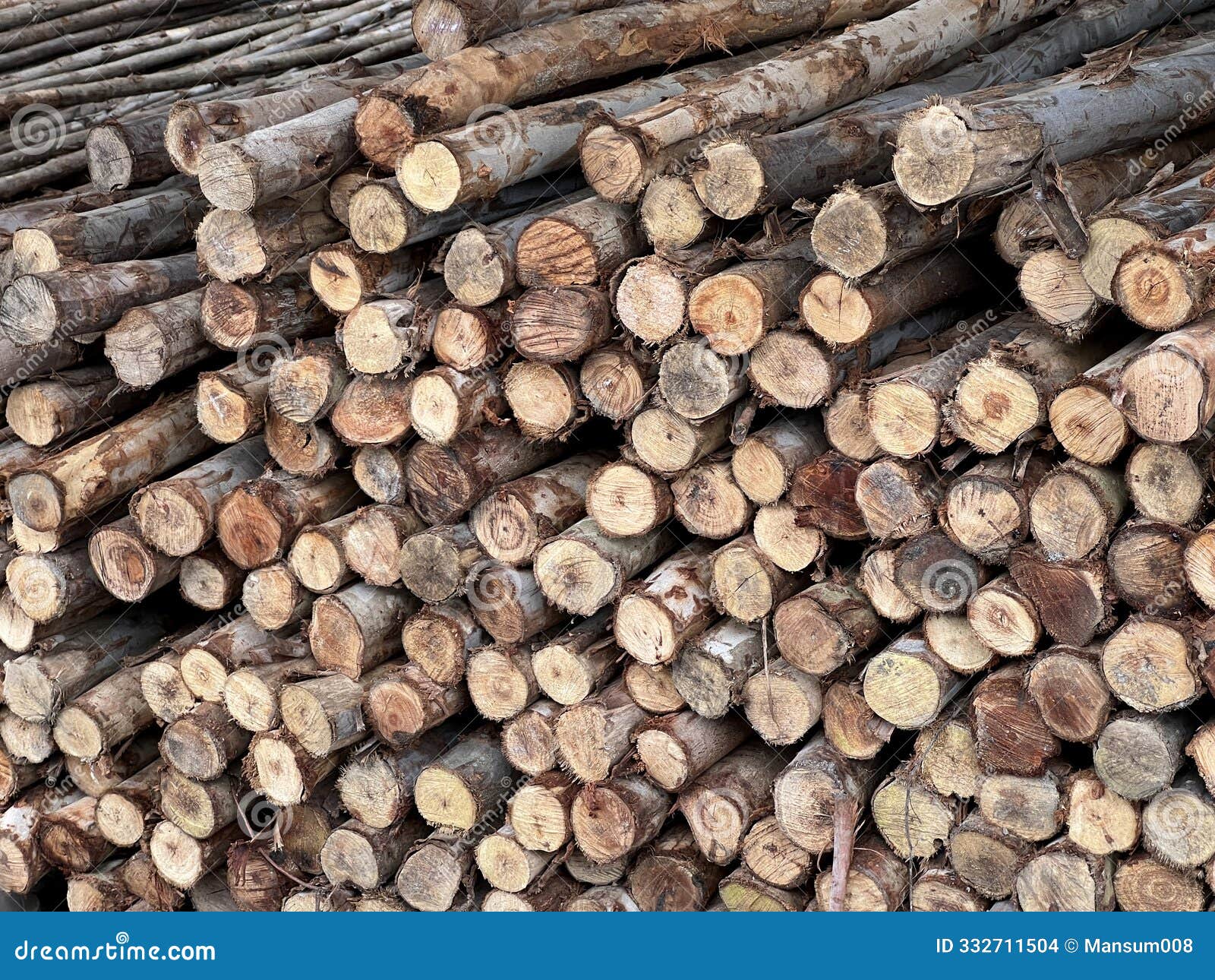 Stacked Logs Background With Green Plant Recycle Stock Photography ...
