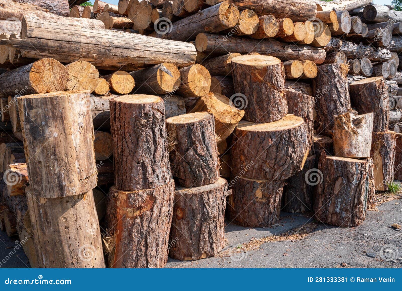 Stacked Logs of Trees. the Concept of Environmental Safety. Stock Image ...