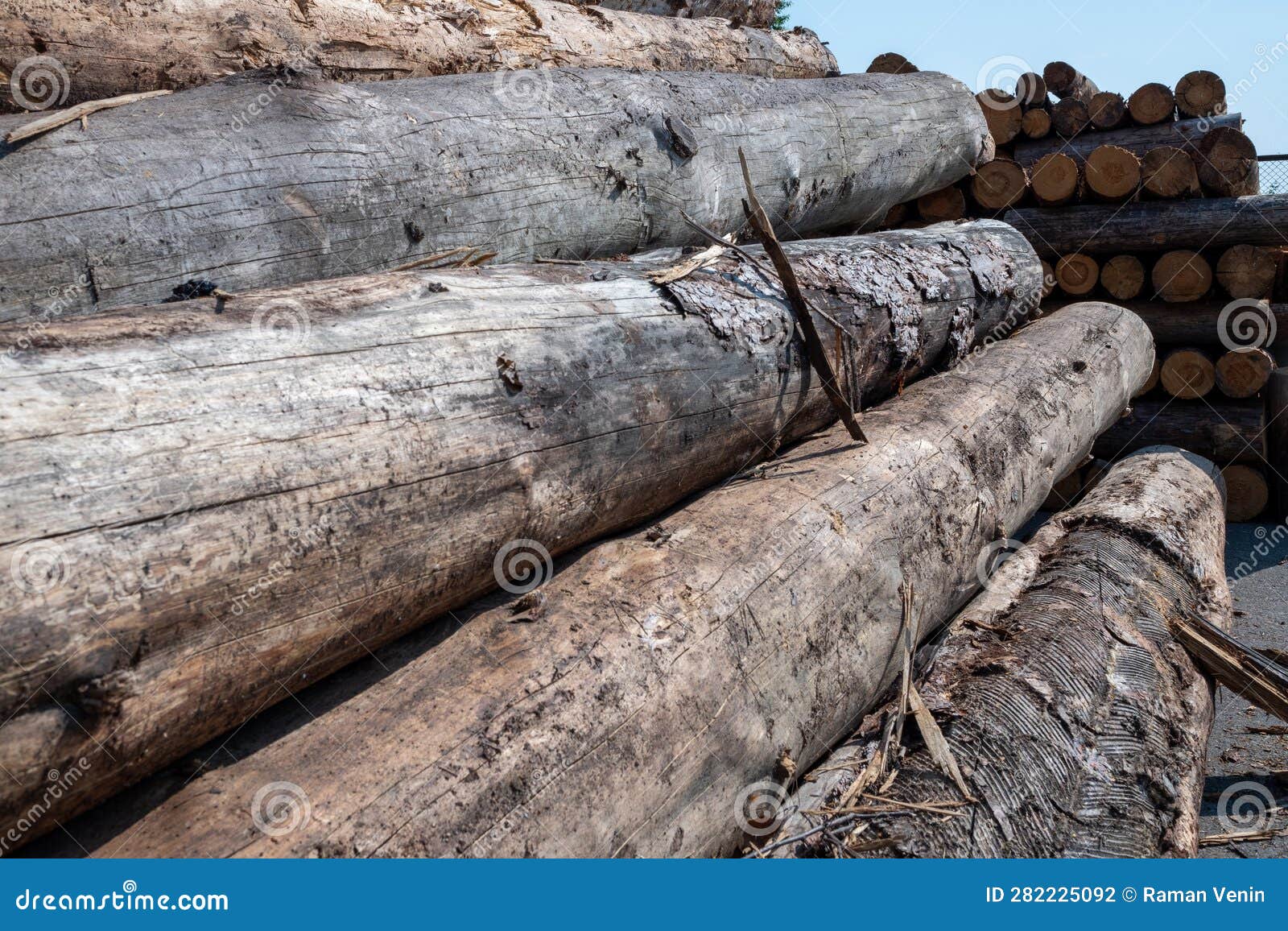 Stacked Logs of Trees. the Concept of Environmental Safety. Stock Photo ...