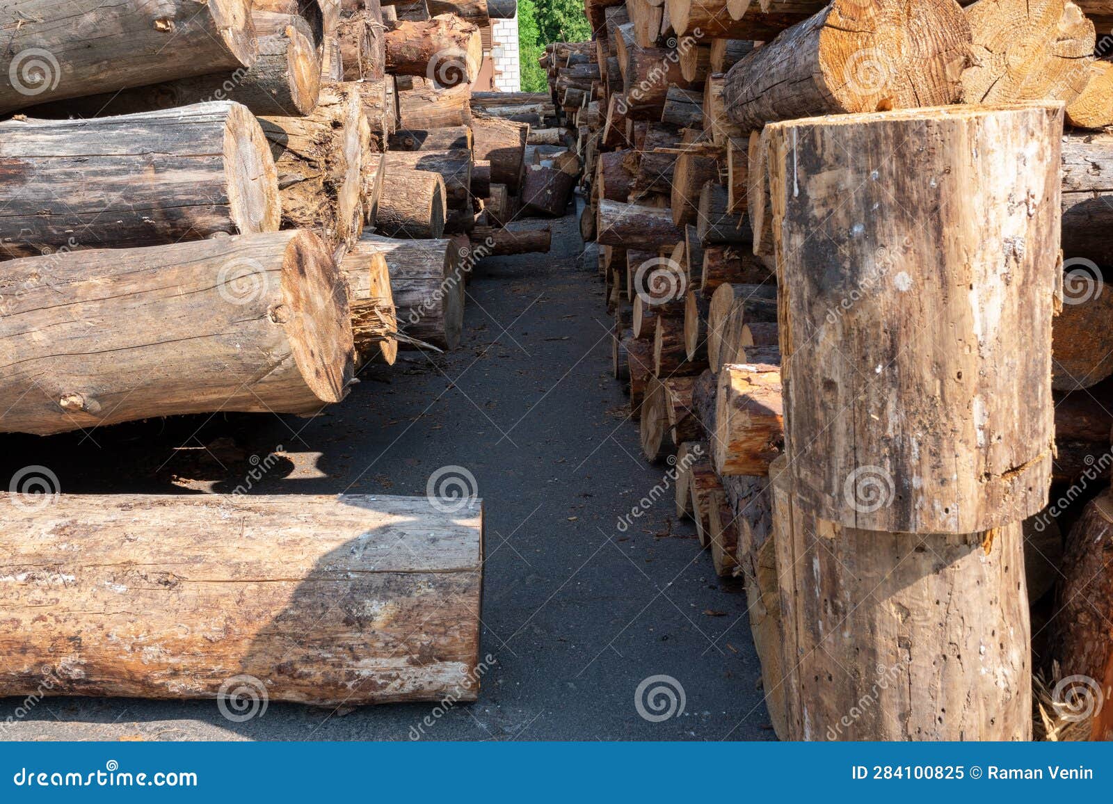 Stacked Logs of Trees. the Concept of Environmental Safety. Stock Image ...