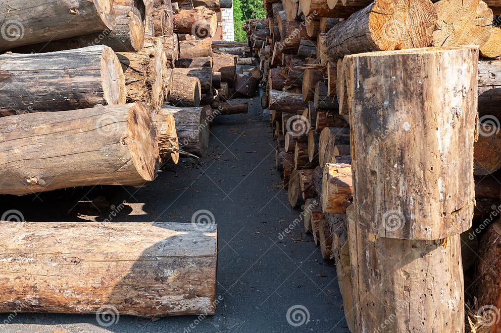 Stacked Logs of Trees. the Concept of Environmental Safety. Stock Image ...