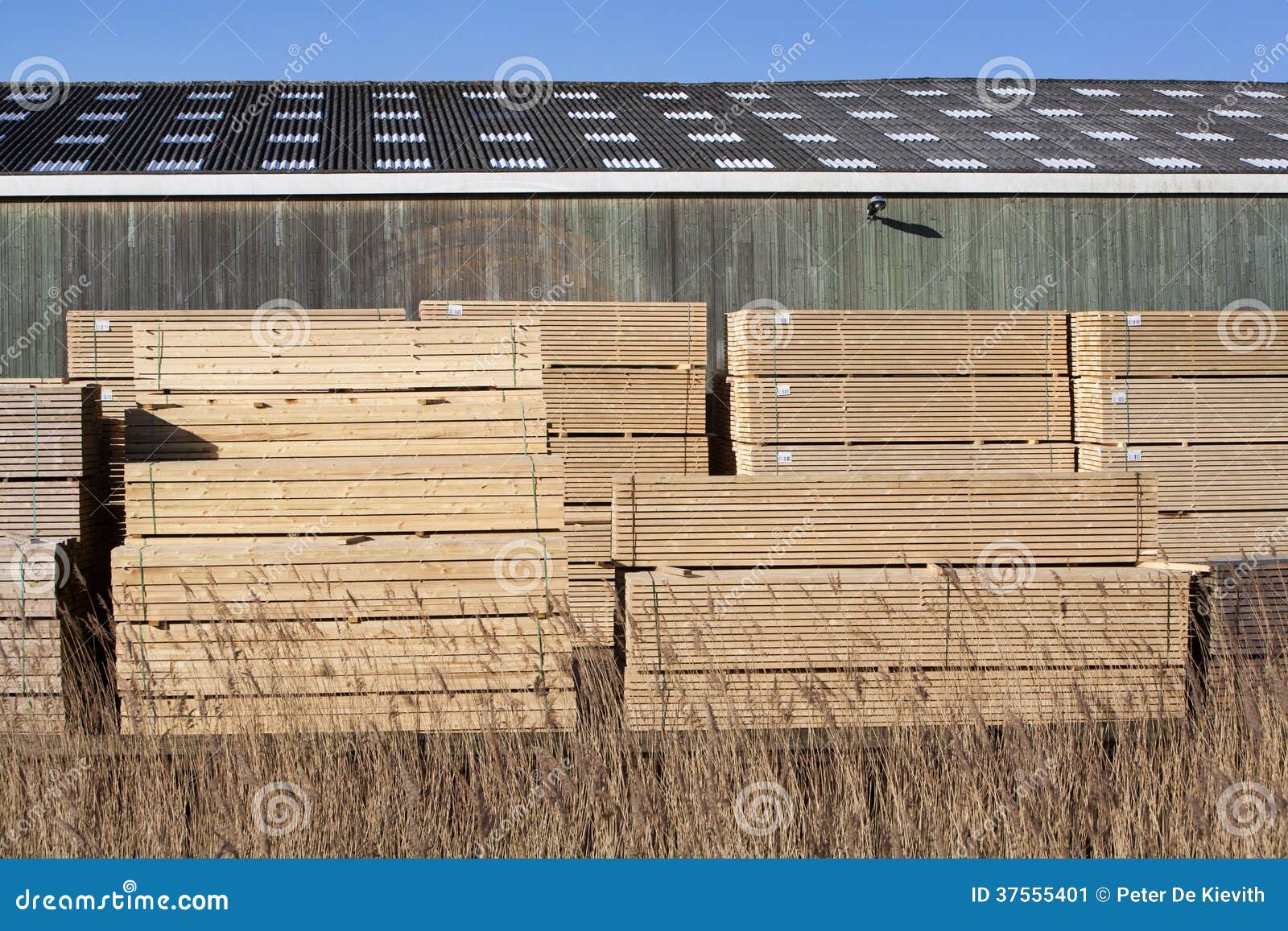 Stacked lumber stock image. Image of lumber, nature, housing - 37555401