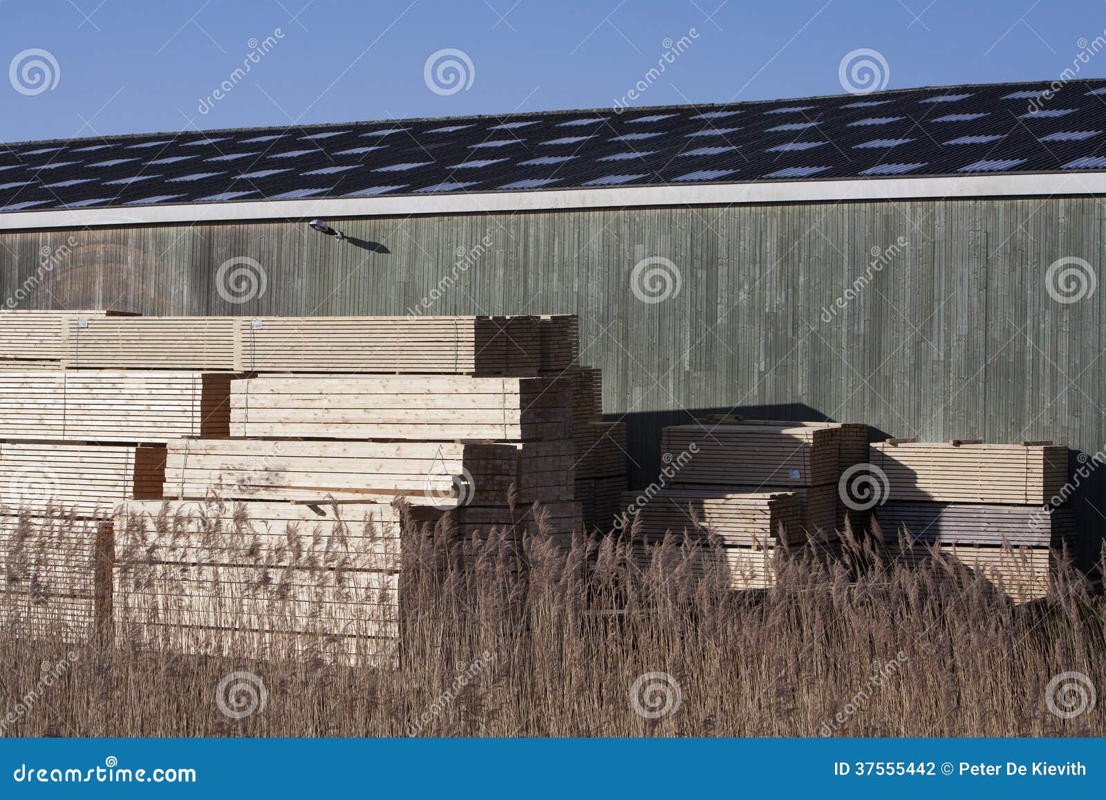 Stacked lumber stock photo. Image of drying, material - 37555442