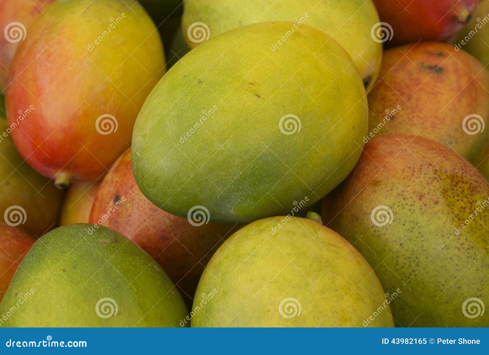 Stacked Mangoes stock image. Image of colurful, stall - 43982165