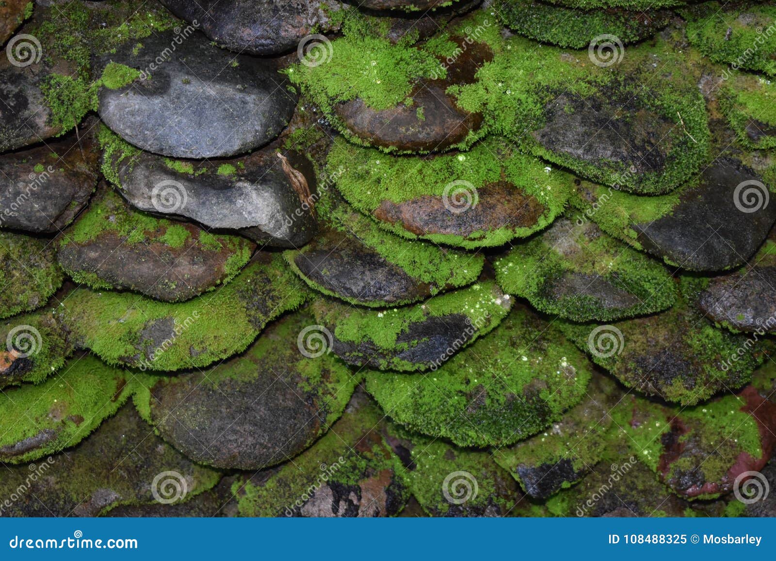 Mossy Pebbles. Background Texture Of The Gravel Surface. Royalty-Free ...