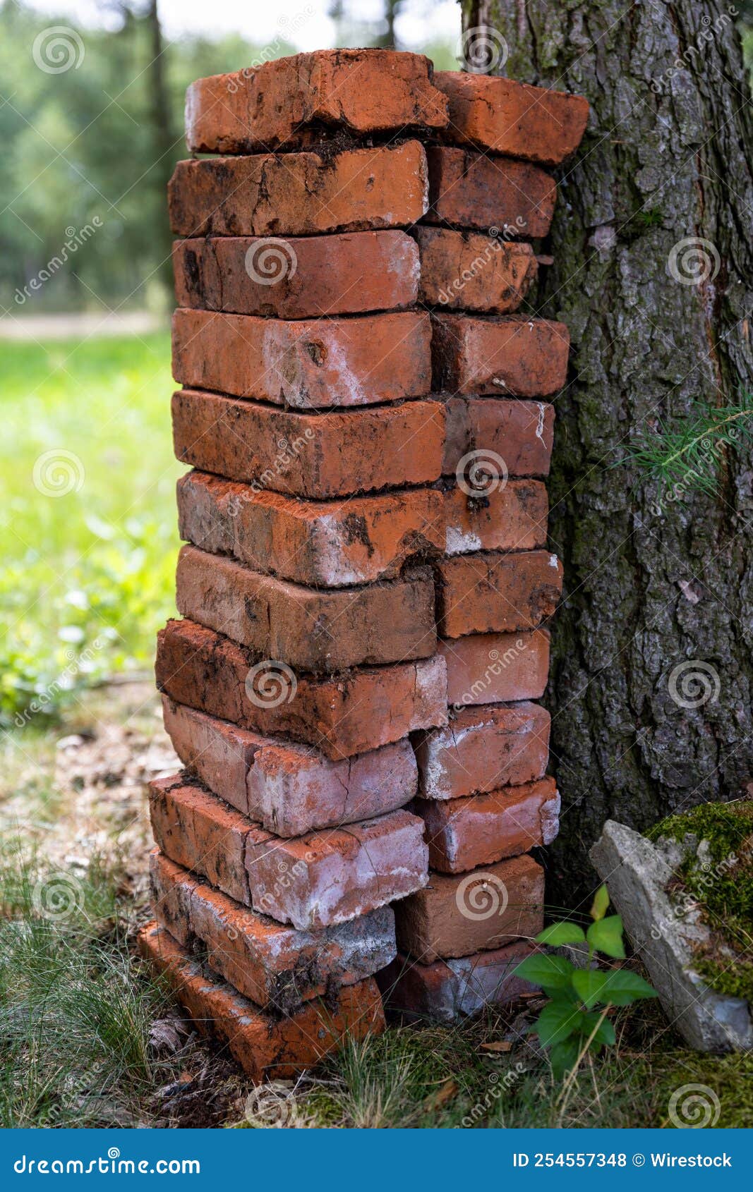 Stacked Old Red Bricks beside a Tree, Vertical Shot Stock Photo - Image ...
