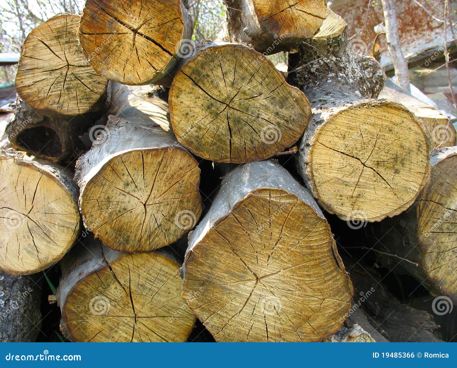 Stacked old wood tree logs stock photo. Image of birch - 19485366