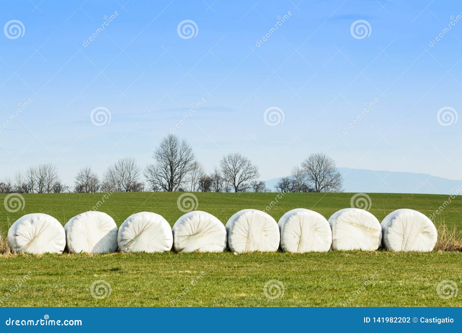 Stacked and Packed Hay Bales, in a Cultivated Field Stock Photo - Image ...