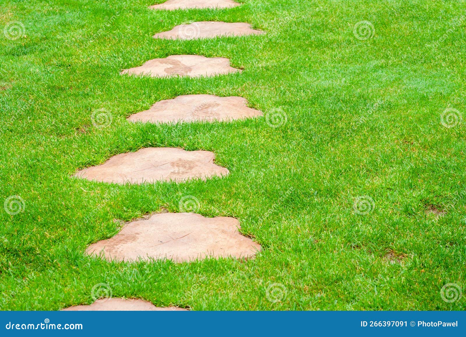 Stacked Path from Wooden Cut Circles on Grass Stock Image - Image of ...
