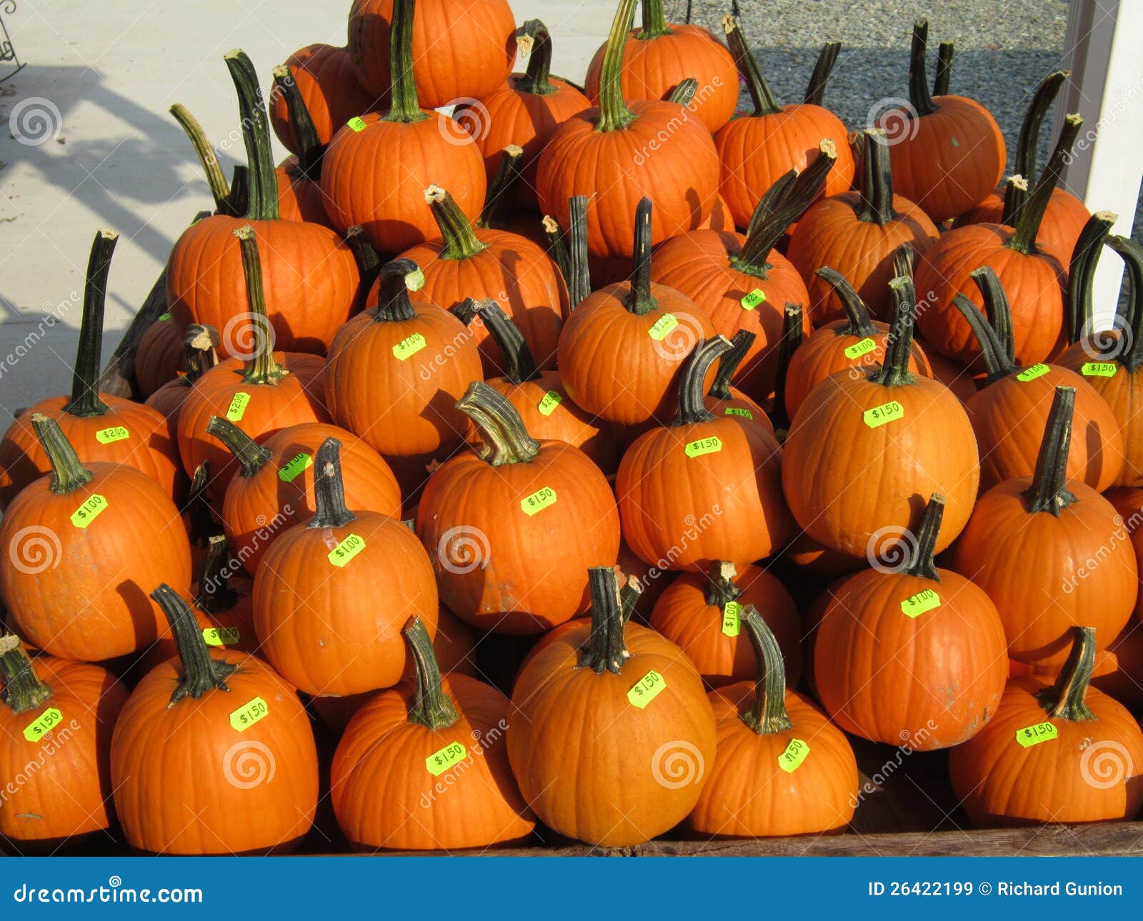 Stacked Pumpkins stock image. Image of food, roadside - 26422199