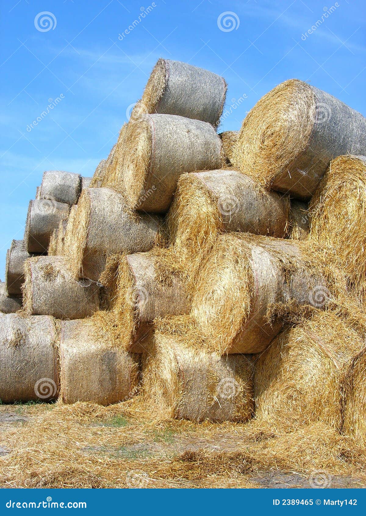 Stacked rolled hay bales stock image. Image of feed, fever - 2389465