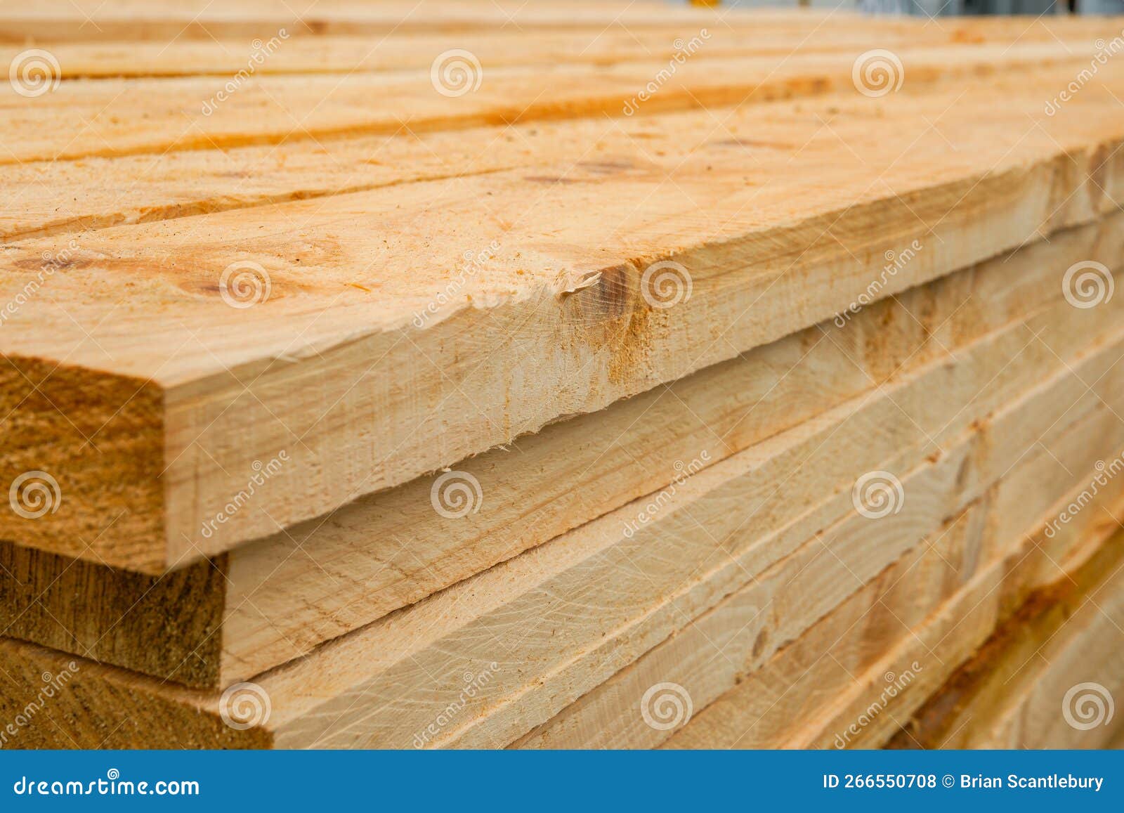Stacked Rough Sawn Timber Planks Stock Photo - Image of macrocarpa ...
