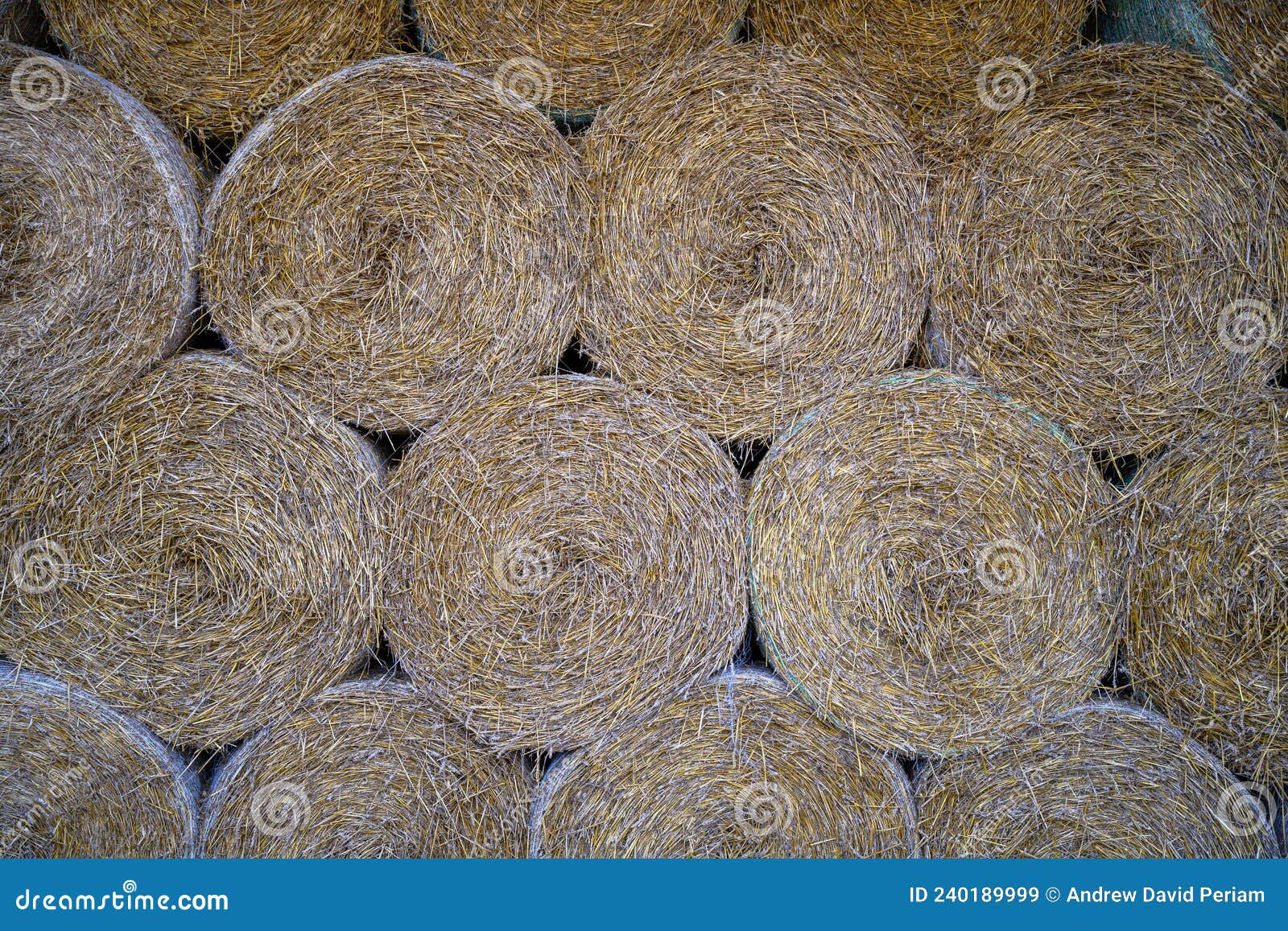 Stacked round hay bails stock image. Image of background - 240189999